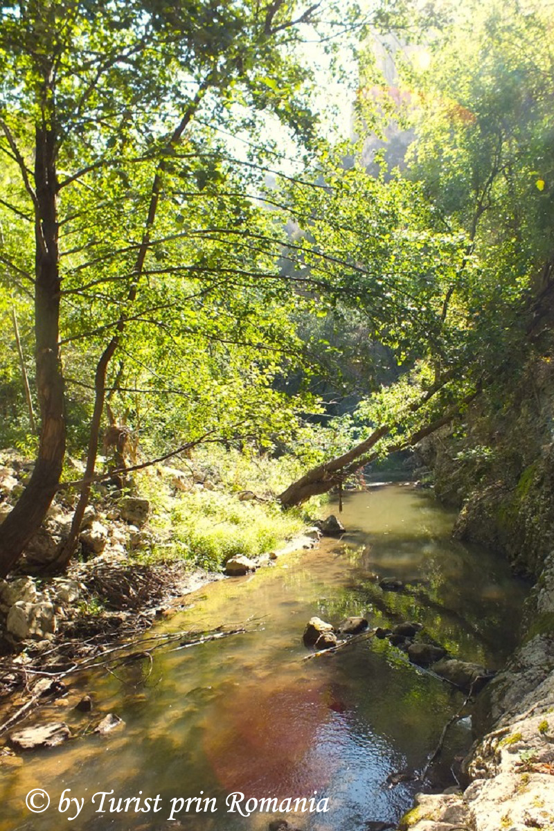 Cheile Turzii, peisaj carstic de o rară frumusețe – Turist prin Romania