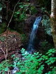 3 locuri de vis în Malaia, județul Vâlcea – Turist prin Romania