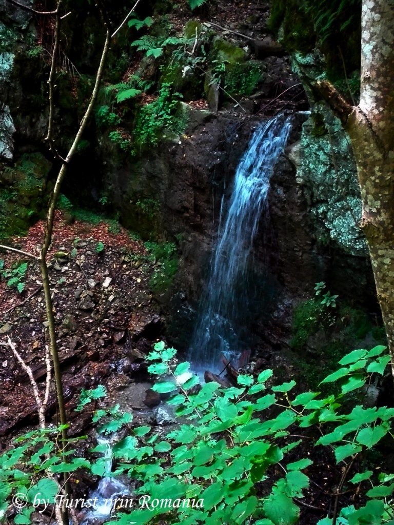3 locuri de vis în Malaia, județul Vâlcea – Turist prin Romania