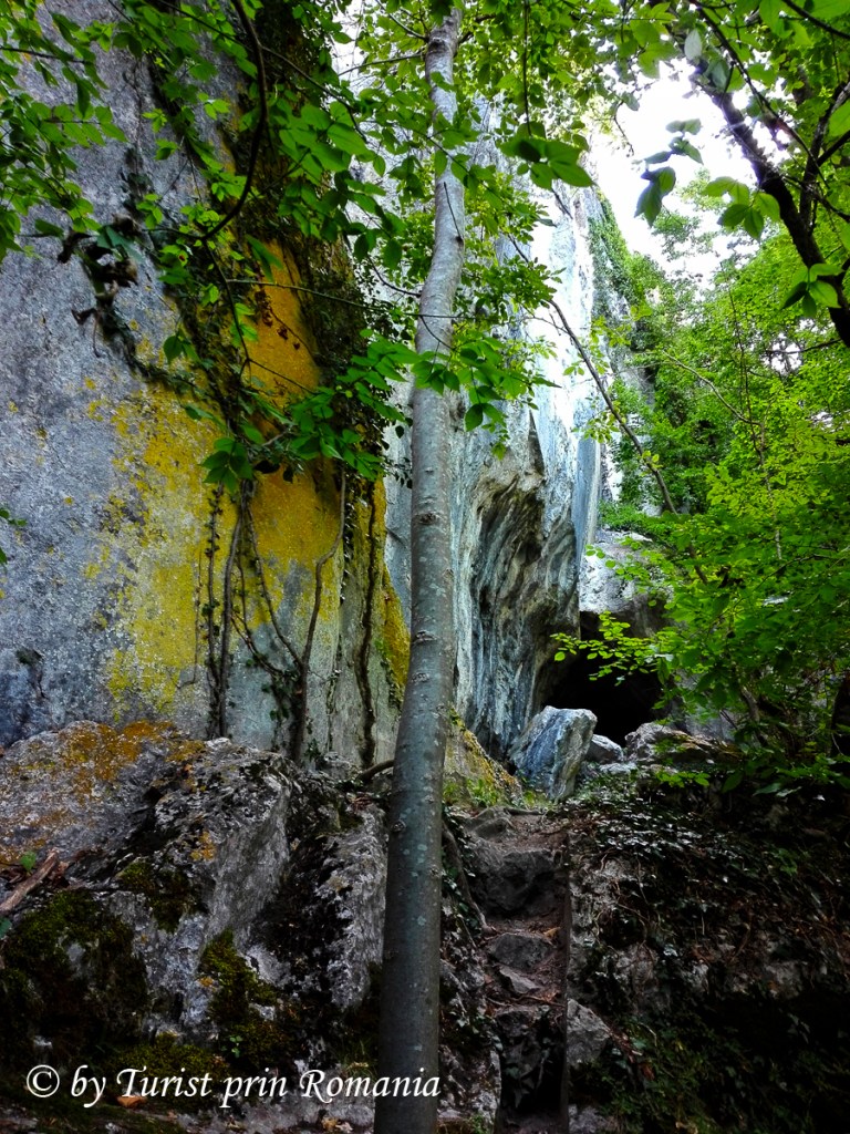 3 locuri de vis în Malaia, județul Vâlcea – Turist prin Romania