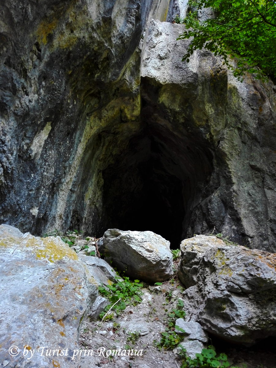 3 locuri de vis în Malaia, județul Vâlcea – Turist prin Romania