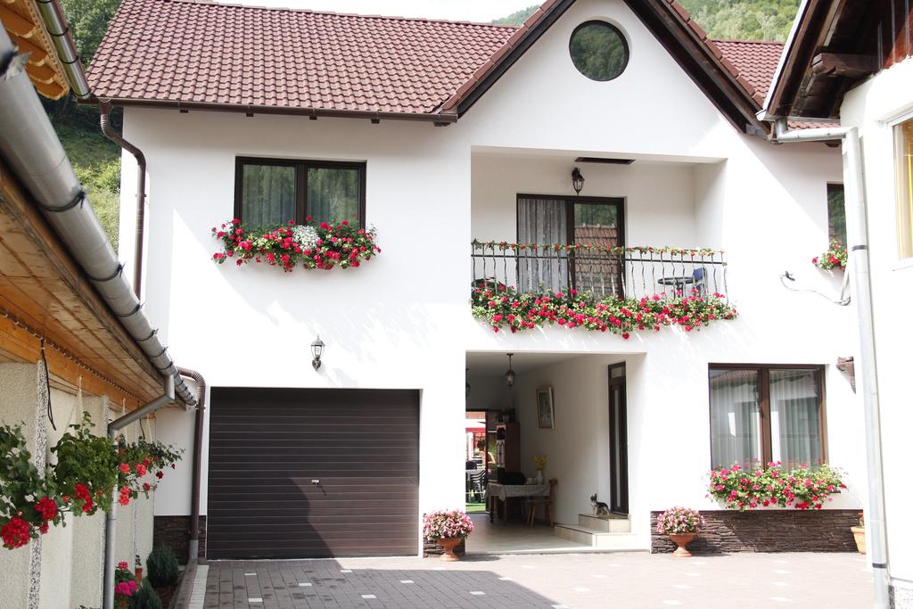 Vila Rodica, Șugag, județul Alba – Turist prin Romania