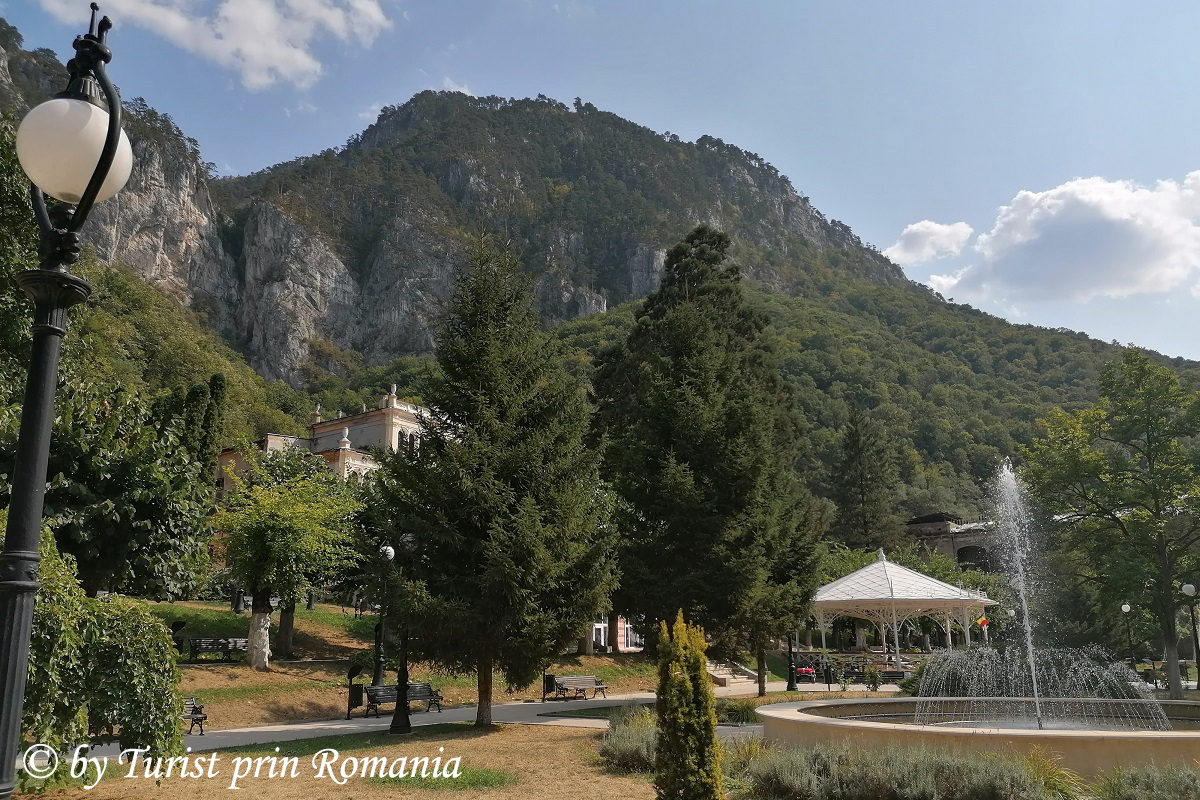 Gigantul din Băile Herculane, monument al naturii – Turist prin Romania